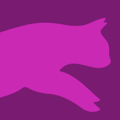 Essential guides | Cats Protection
