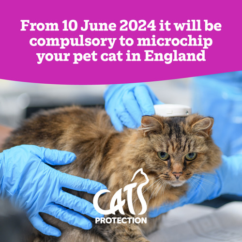 Cats Protection Worthing & District Branch