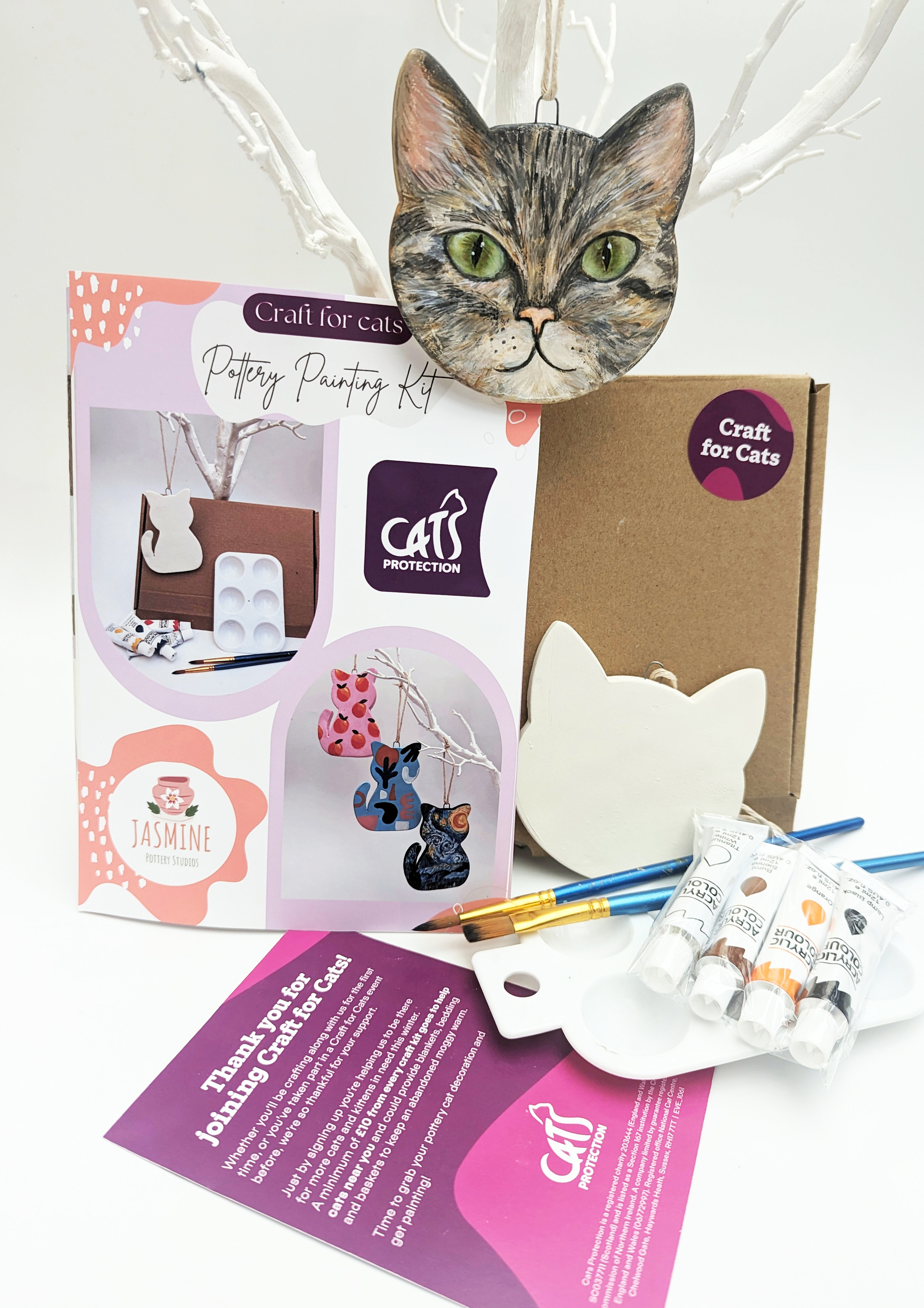 Craft for Cats Pottery Painting | Events | Cats Protection