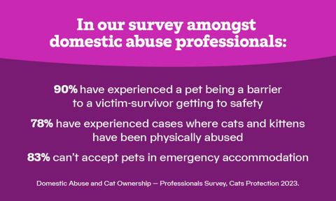 Lifeline and Refuge | Cats Protection