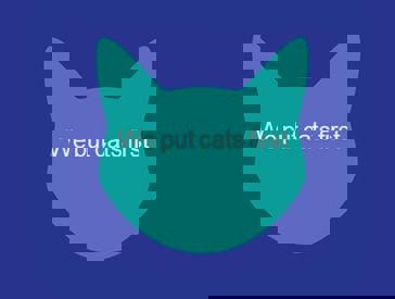 Values and behaviours | Work with cats | Cats Protection