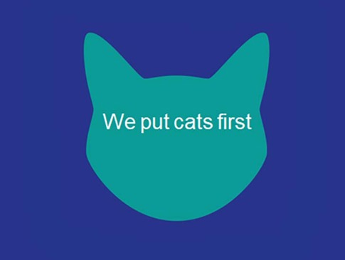Values and behaviours | Work with cats | Cats Protection