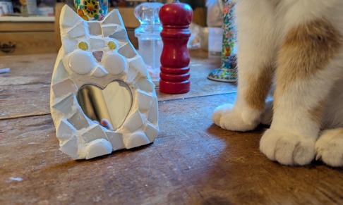 Craft for Cats Mosaic | Events | Cats Protection