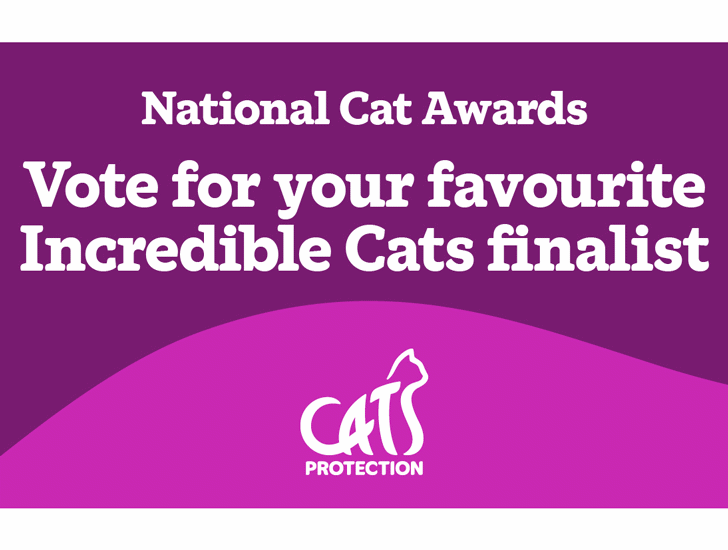 National Cat Awards 2025 | Events | Cats Protection