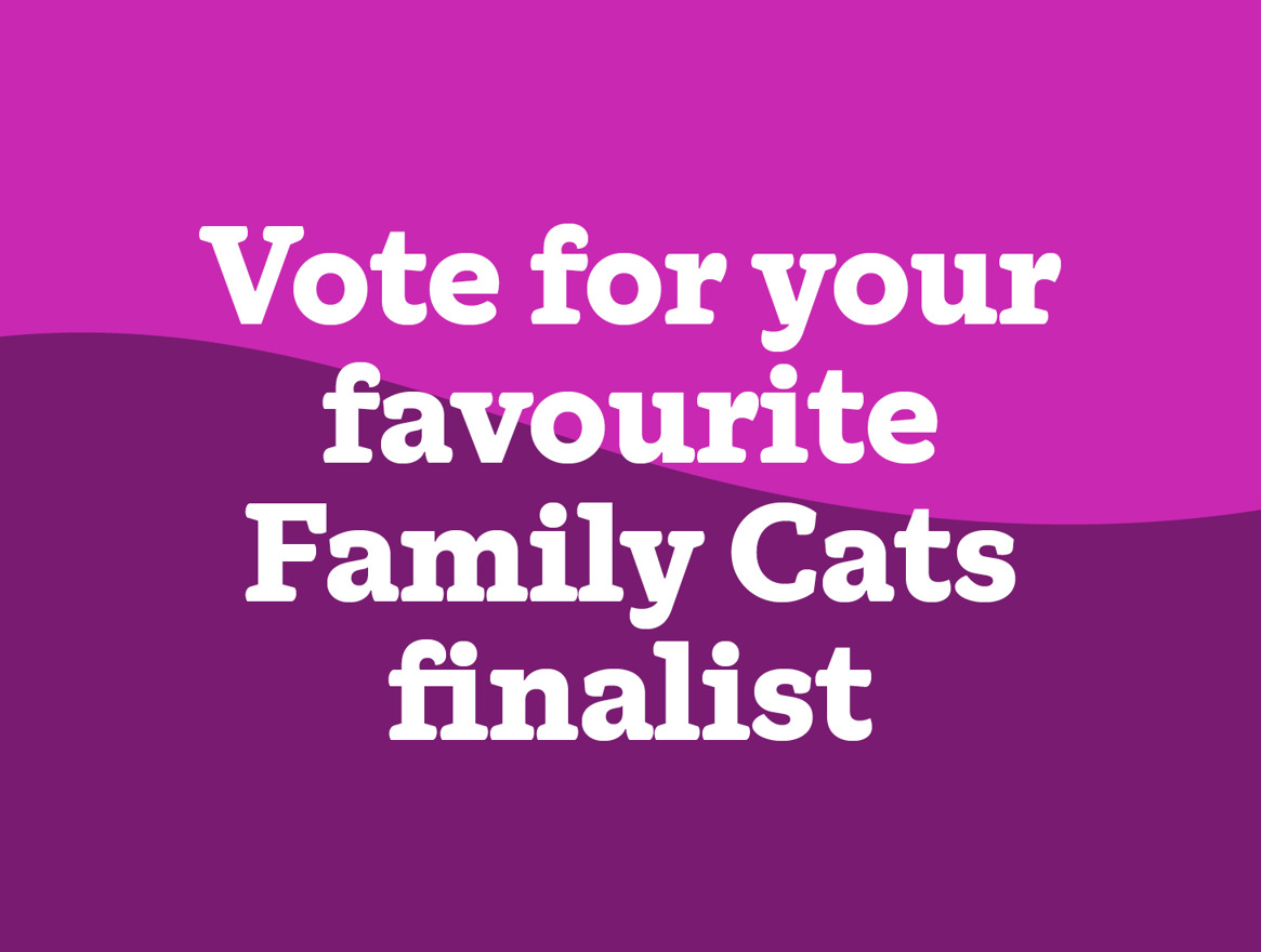 National Cat Awards | Events | Cats Protection