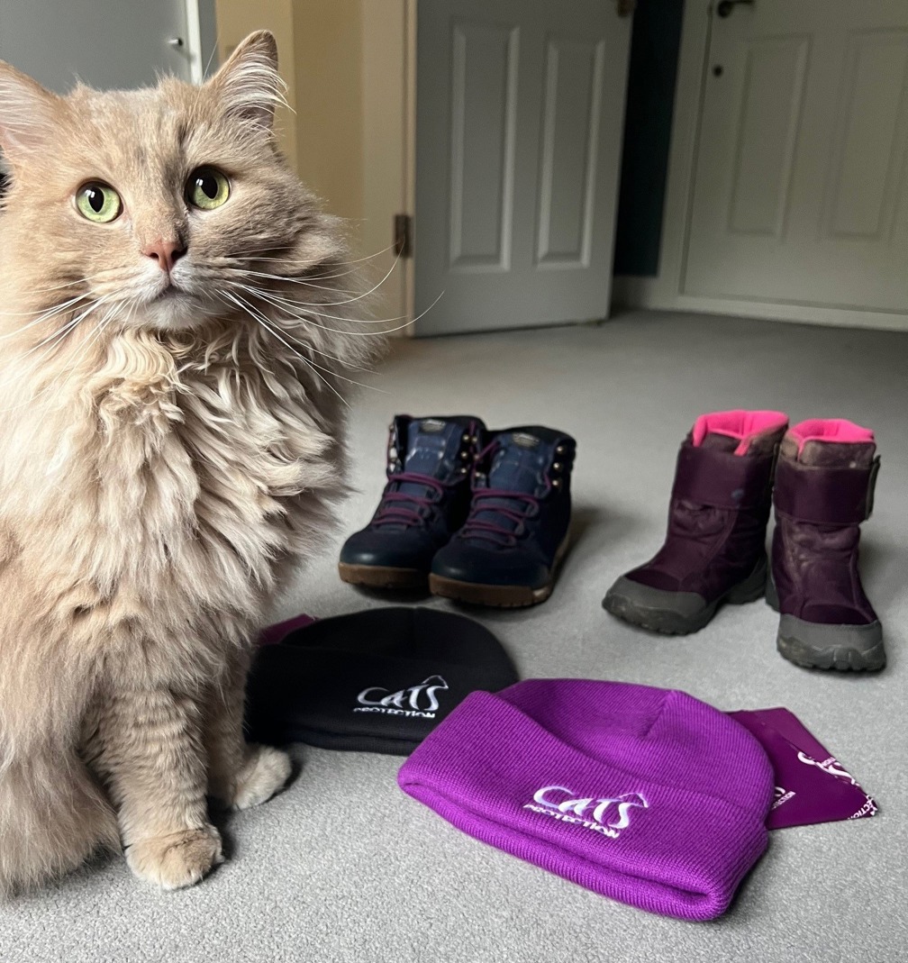 Big Winter Roam | Events | Cats Protection