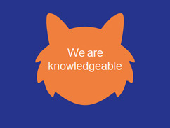 Values and behaviours | Work with cats | Cats Protection