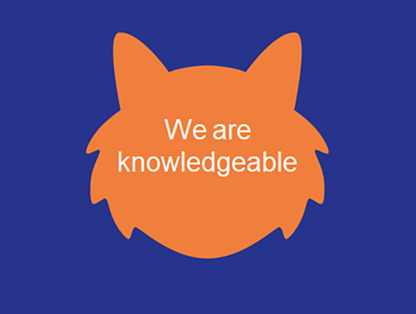 Values and behaviours | Work with cats | Cats Protection