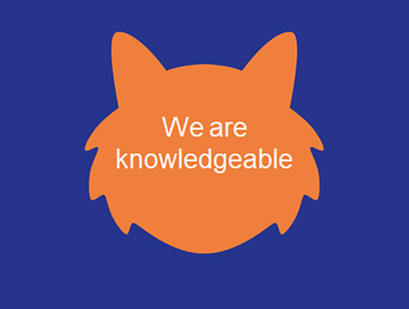 Values and behaviours | Work with cats | Cats Protection