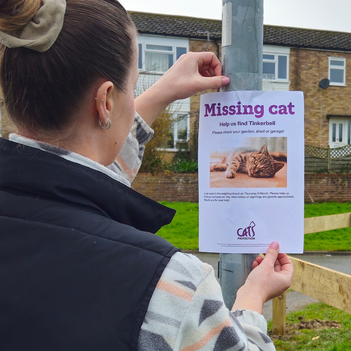 Lost Cat | What To Do If Your Cat Is Missing | Cats Protection