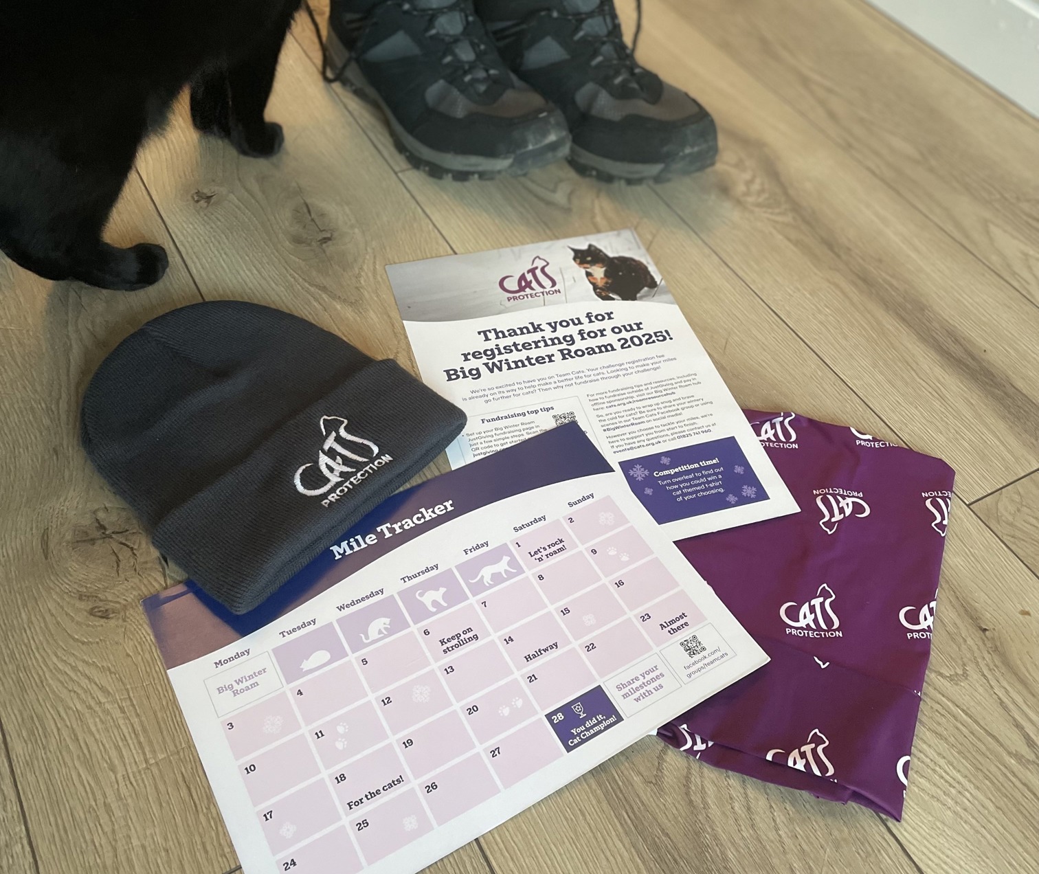 Big Winter Roam | Events | Cats Protection