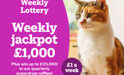Lottery and raffle | Support us | Cats Protection
