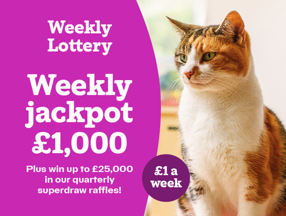 Lottery and raffle | Support us | Cats Protection