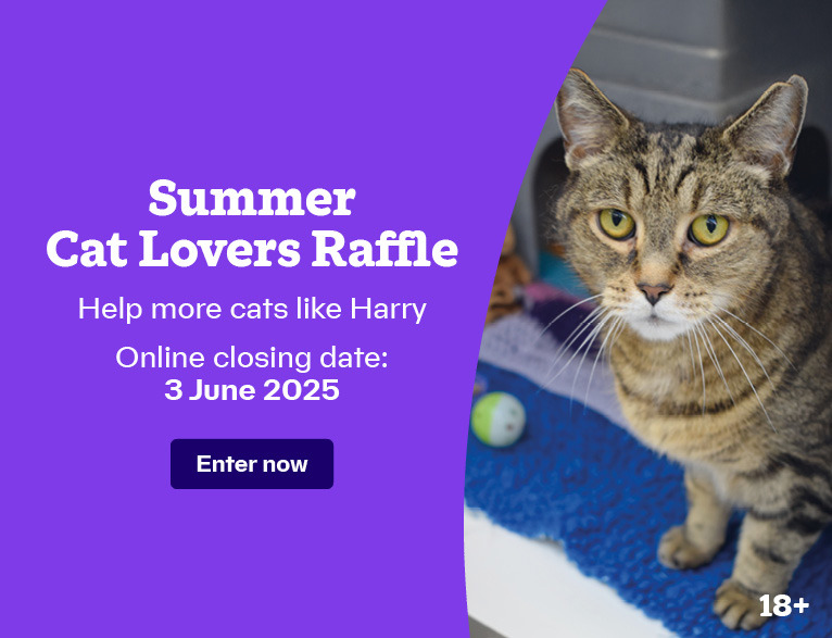 Cats Protection | UK’s Largest Cat Welfare Charity