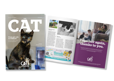 Become a member | Support us by joining Cats Protection
