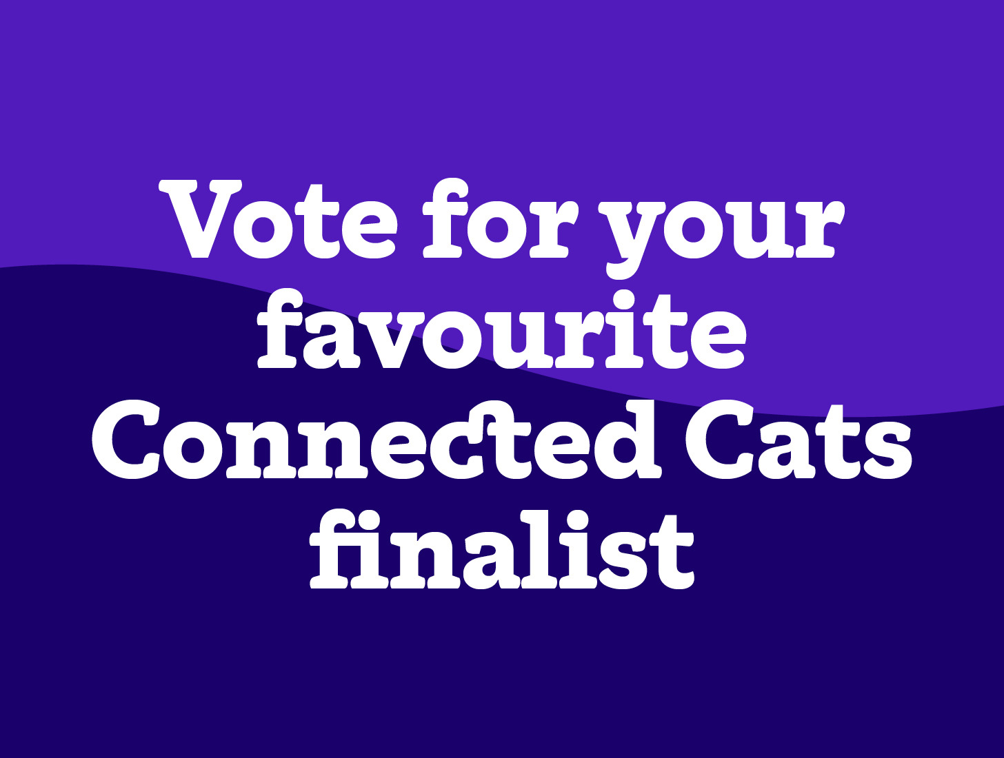 National Cat Awards | Events | Cats Protection