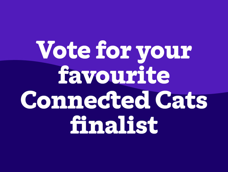 National Cat Awards | Events | Cats Protection