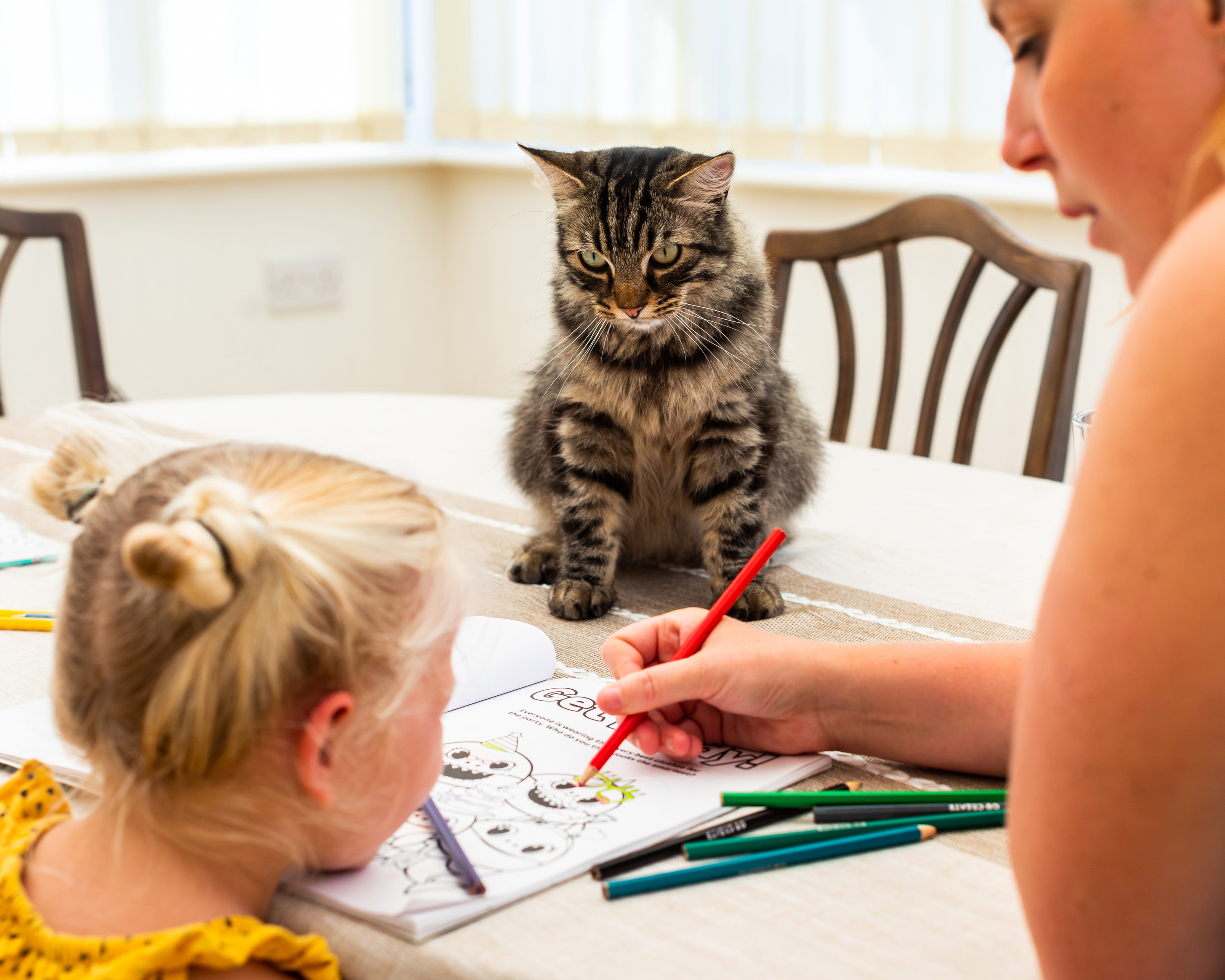 Wellbeing, Pets and Me