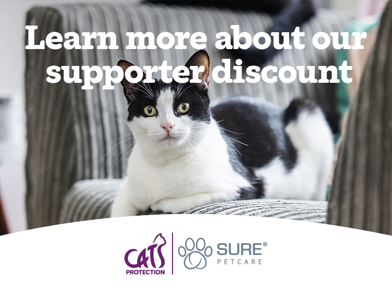 Cats Protection | UK’s Largest Cat Welfare Charity
