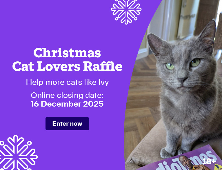 Cats Protection | UK’s Largest Cat Welfare Charity
