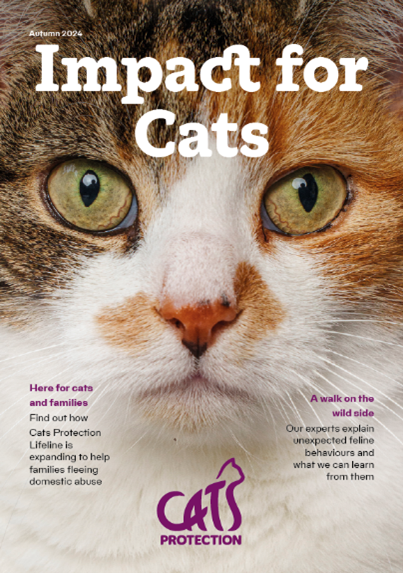 Stay in touch | Cats Protection