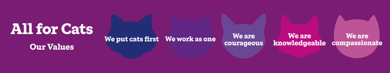 Values and behaviours | Work with cats | Cats Protection