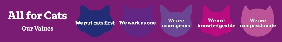 Values and behaviours | Work with cats | Cats Protection