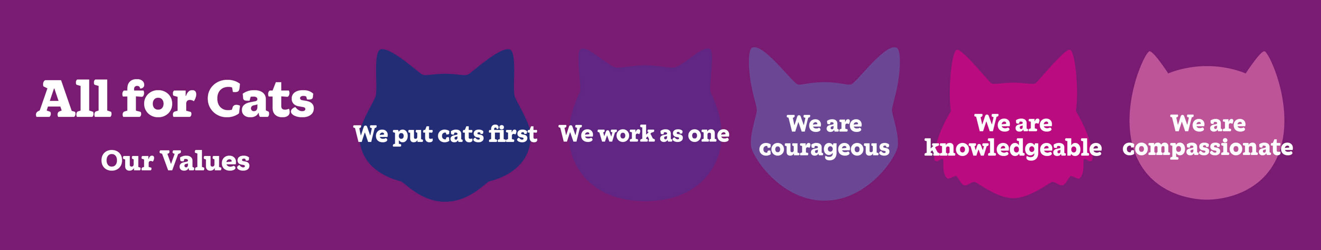 Values and behaviours | Work with cats | Cats Protection