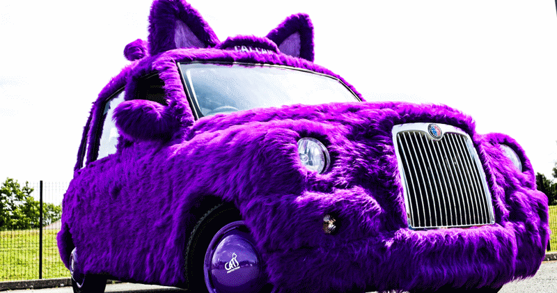 Follow our cat cab | National Cat Awards | Cats Protection