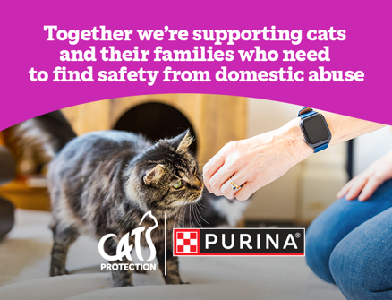 Cats Protection | UK’s Largest Cat Welfare Charity