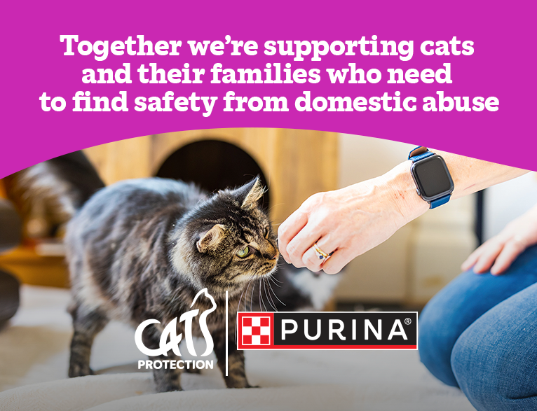 Cats Protection | UK’s Largest Cat Welfare Charity