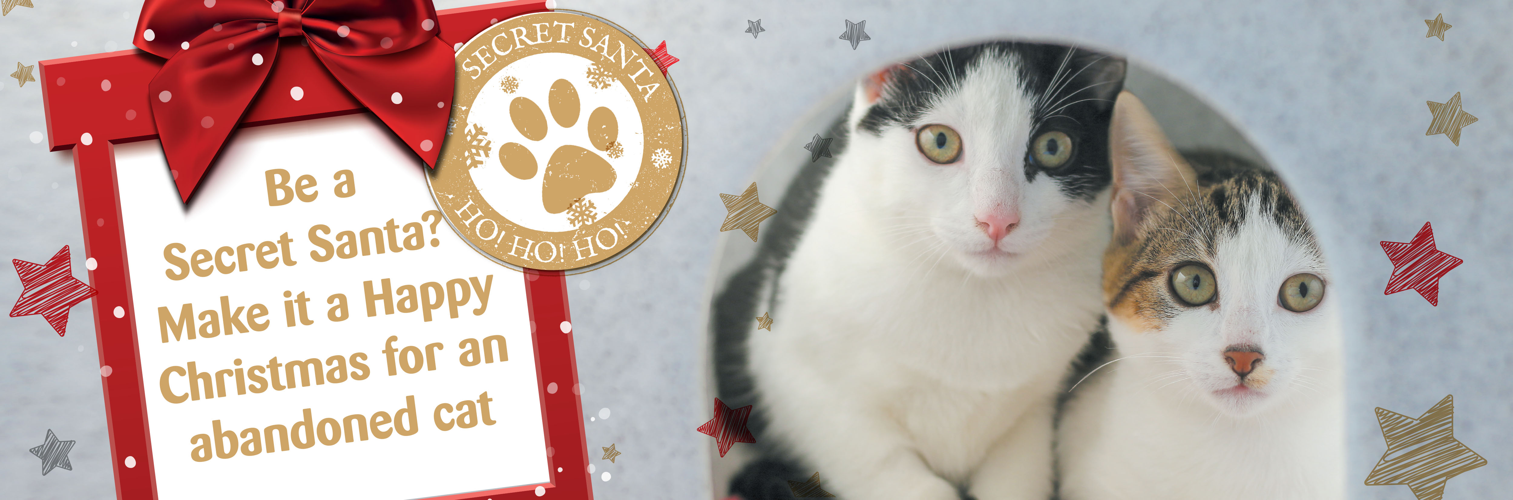 Become a Secret Santa and make it a Happy Christmas for a homeless cat