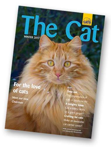 Modern Cat Magazine Cover Contest