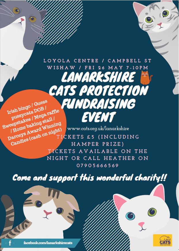 How To Make A Donation To Cats Protection at Bessie Humble blog