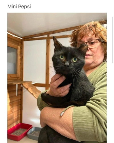 Cats Protection Arbroath & Central Angus Branch