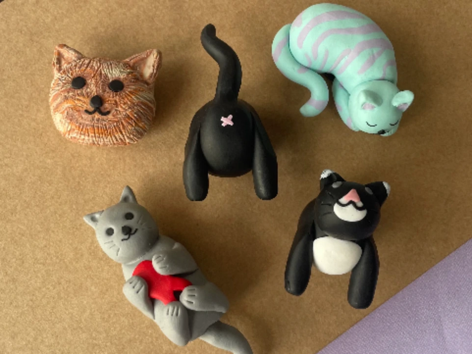 Cats Protection Anglia Coastal Branch