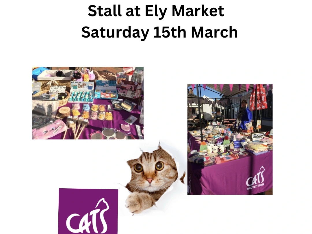 Cats Protection Ely & District Branch