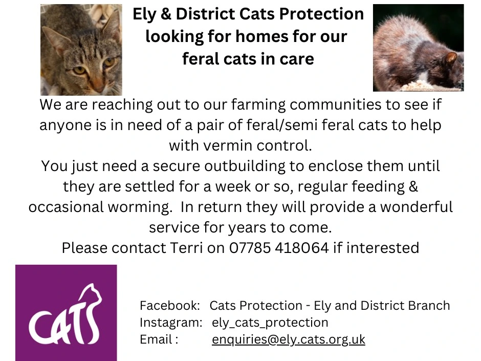 Cats Protection Ely & District Branch