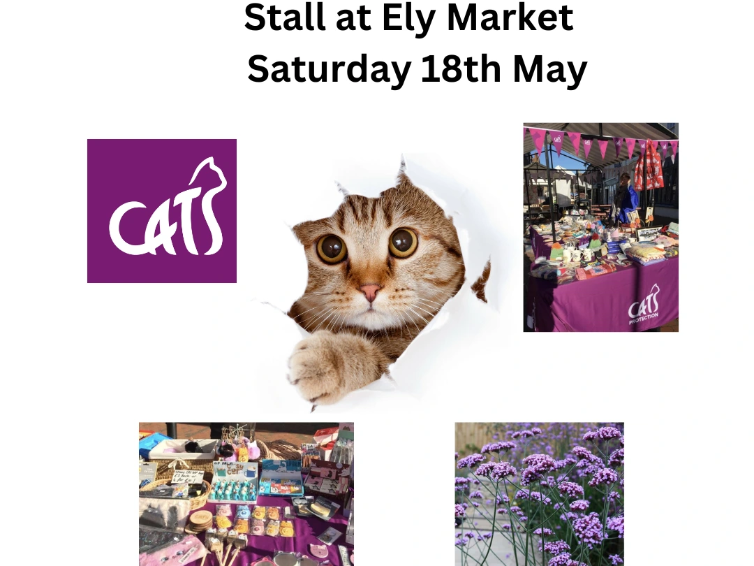 Cats Protection Ely & District Branch