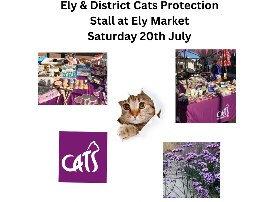 Cats Protection Ely & District Branch