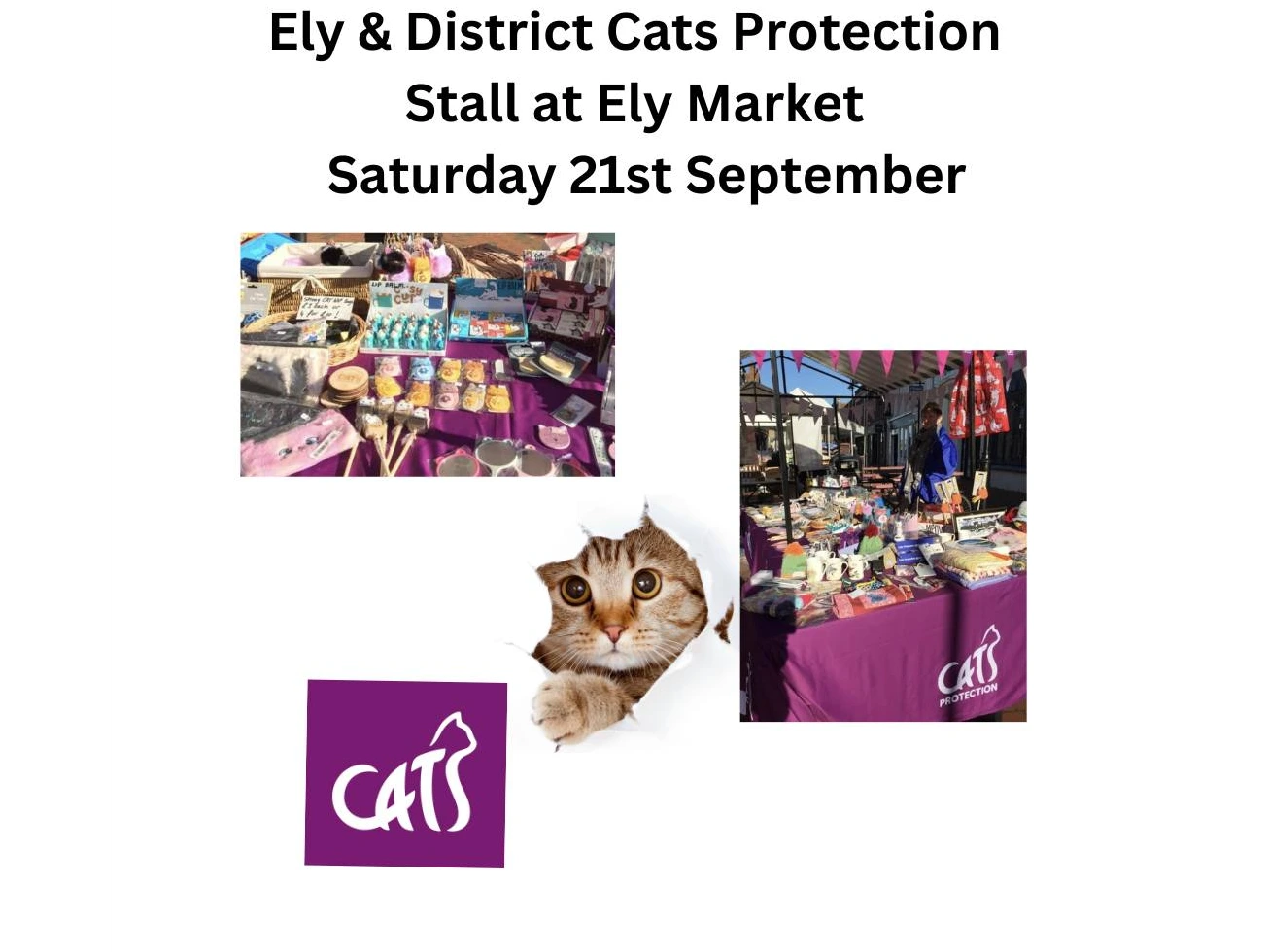 Cats Protection Ely & District Branch
