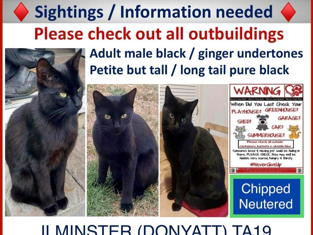 Cats Protection Tyneside Cat Centre