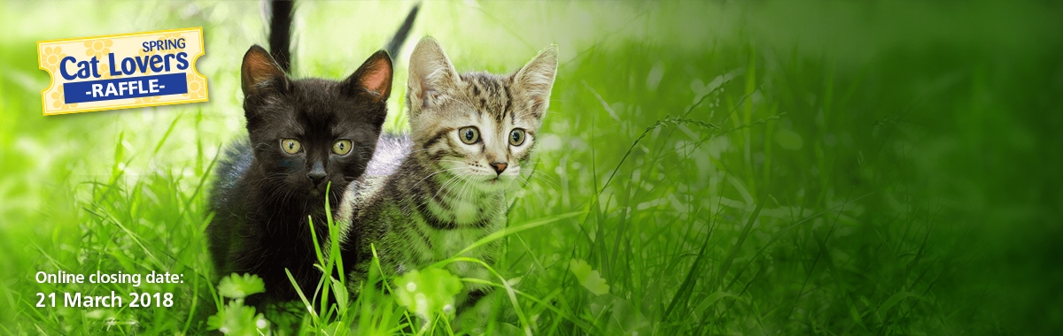 Cats Protection - UK’s Largest Feline Welfare Charity