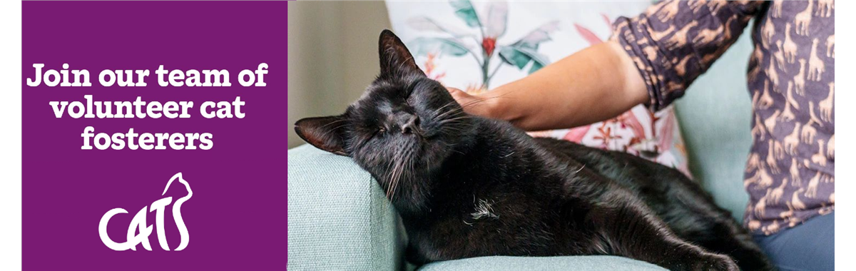 Welcome to Bromley Cats Protection