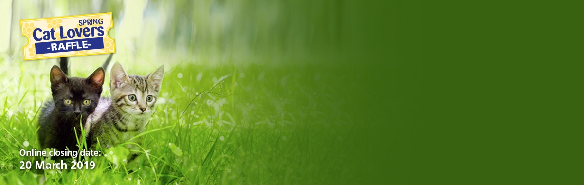 Cats Protection - UK’s Largest Feline Welfare Charity