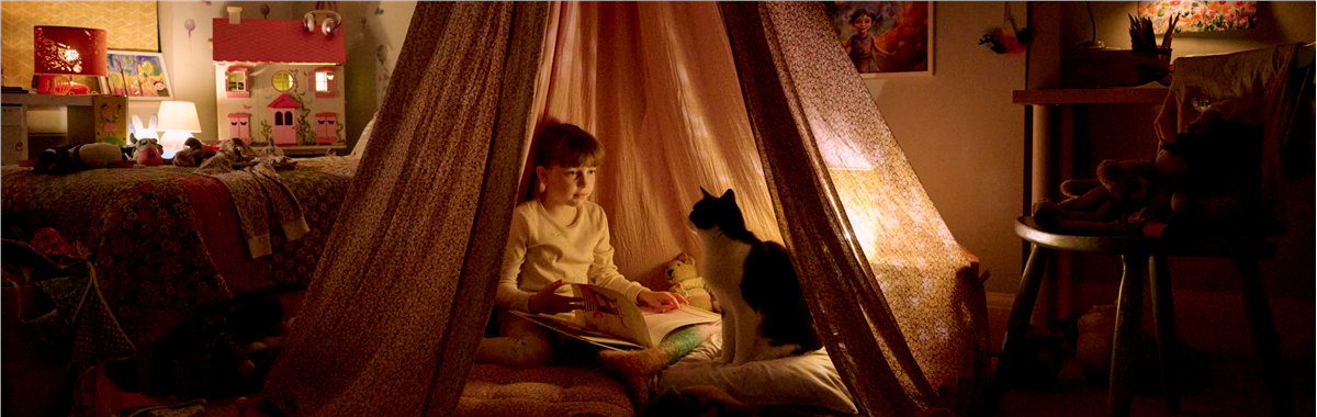 Welcome to Cats Protection