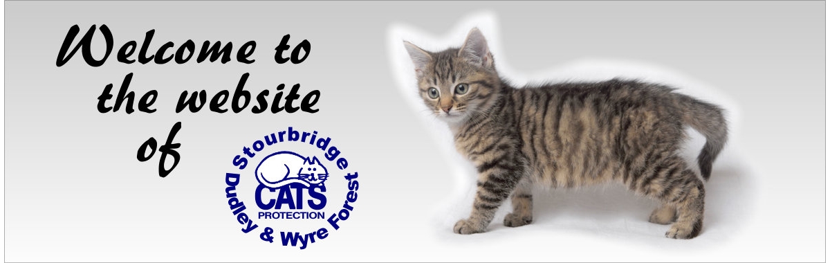 Welcome to Cats Protection Stourbridge, Dudley and Wyre Forest Branch