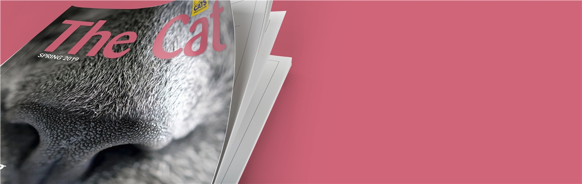 Cats Protection - UK’s Largest Feline Welfare Charity