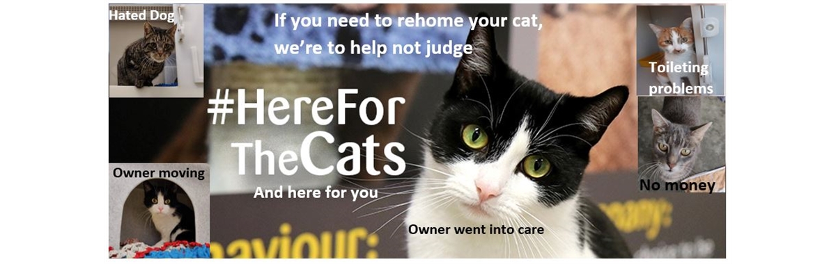 Welcome to Cats Protection