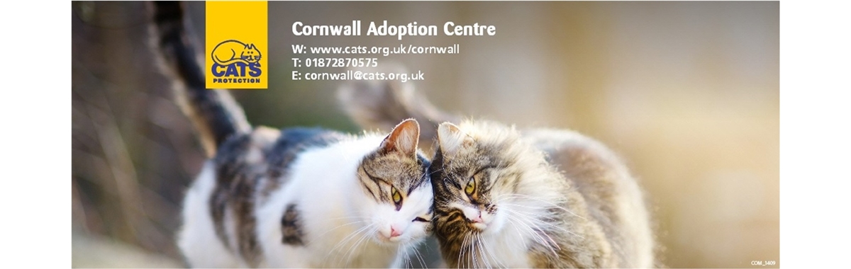 Welcome to Cats Protection Cornwall Adoption Centre